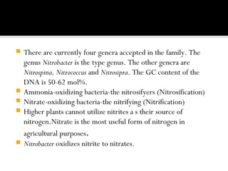 Nitrobacteriaceae & Pseudomonas | PPT