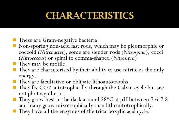 Nitrobacteriaceae & Pseudomonas