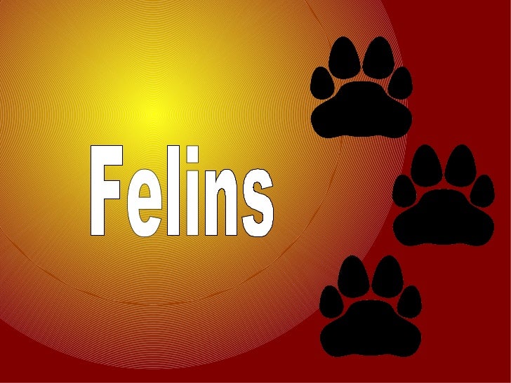 Felins