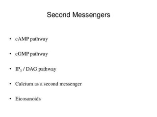second messenger | PPTX