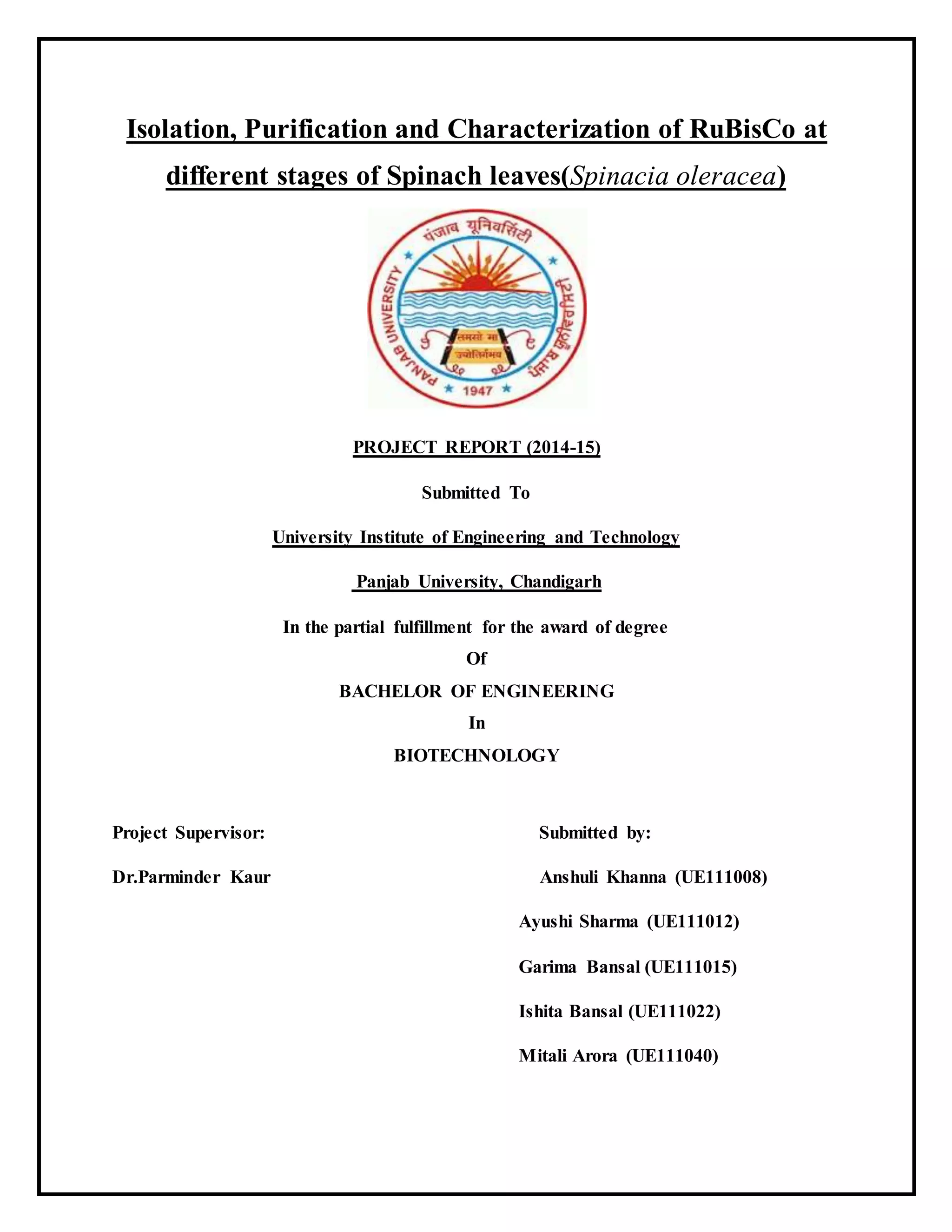 UIET FINAL YEAR PROJECT REPORT | DOCX