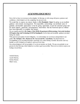 UIET FINAL YEAR PROJECT REPORT | PDF