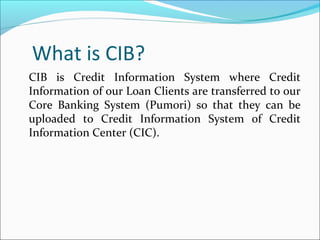 CIB TRAINING | PPT | Business Banking & Finance | Business