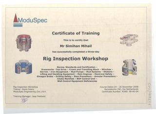 SIMIAN MIHAIL - Moduspec diploma | PPT