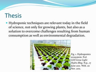 Hydroponics | PPTX