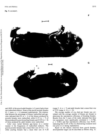 z96-251 Fetal Development in Wolves | PDF