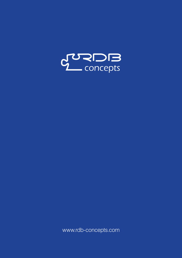 RDB0010_Vision_Brand_Book_WR | PDF