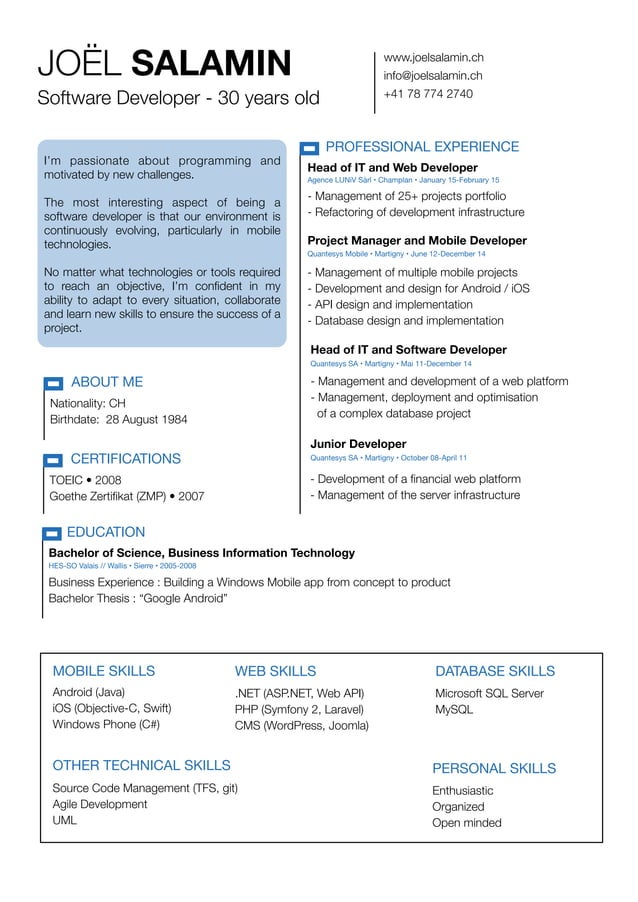 JoelSalamin_CV_EN | PDF