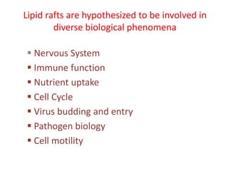 lipid rafts | PPTX