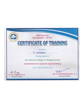 Certificate Pdf Pdf