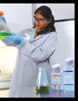 Brochure Algae Engineering Kits | PDF