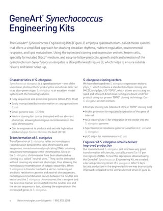 Brochure Algae Engineering Kits | PDF