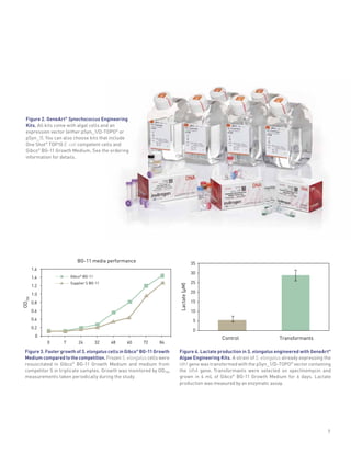 Brochure Algae Engineering Kits | PDF
