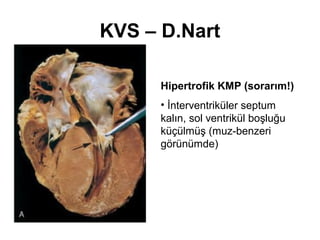 E4 b1 patoloji pratik videolardan notlar | PPT