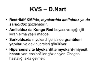 E4 b1 patoloji pratik videolardan notlar | PPT