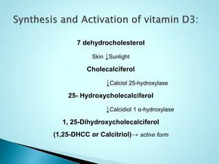 Vitamin D | PPT