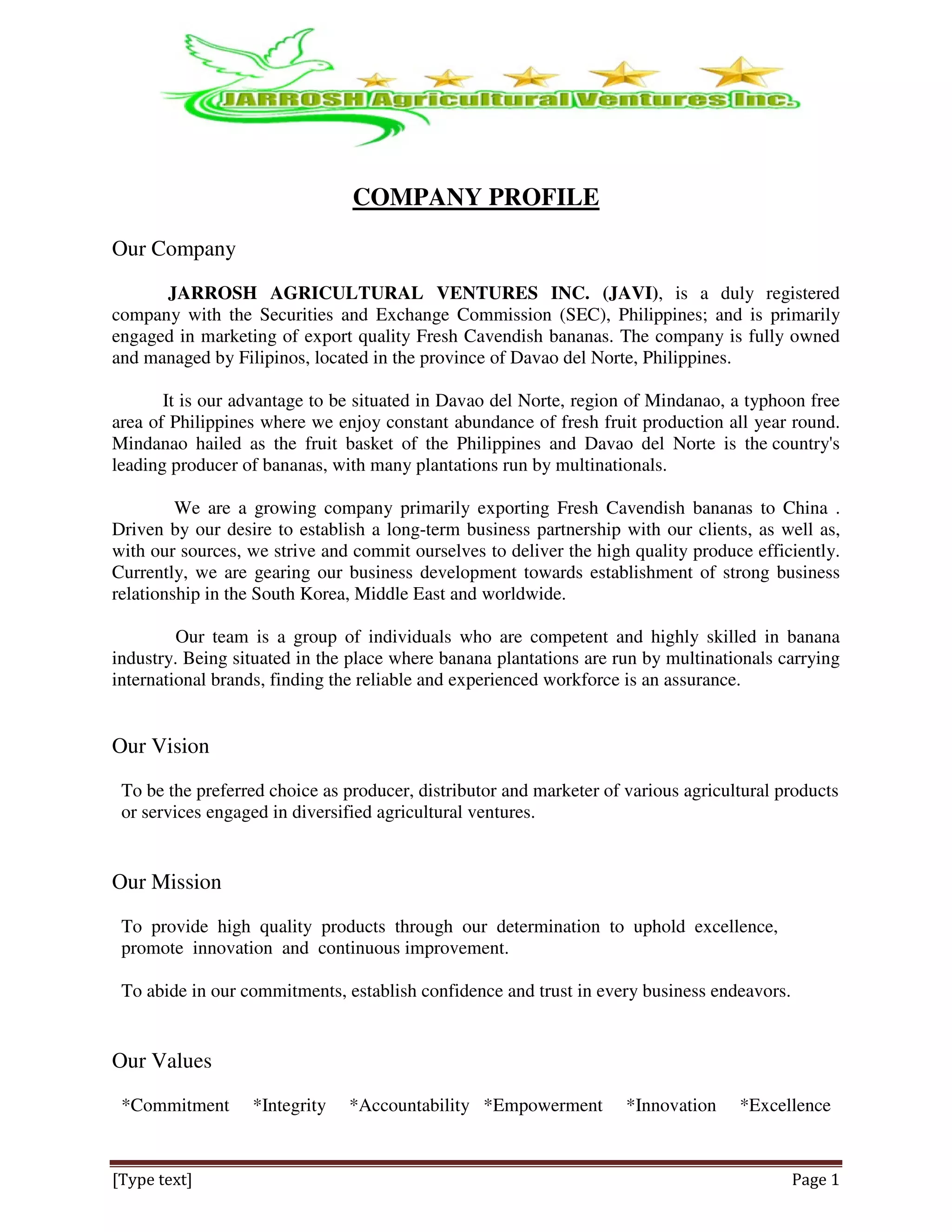 JAVI Company profile (1) | PDF