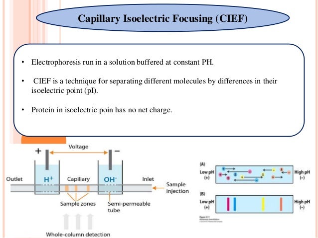 Capillary Electrophoresis