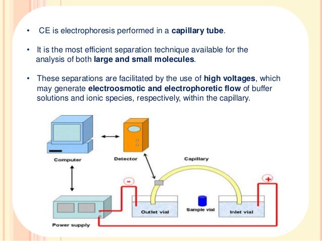 Capillary Electrophoresis