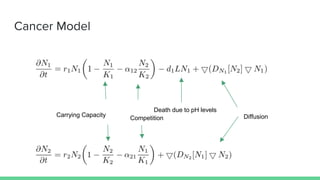 Mathematical Models of Tumor Invasion | PPTX