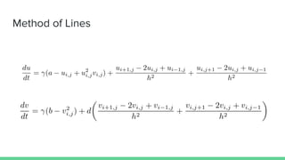 Mathematical Models of Tumor Invasion | PPTX
