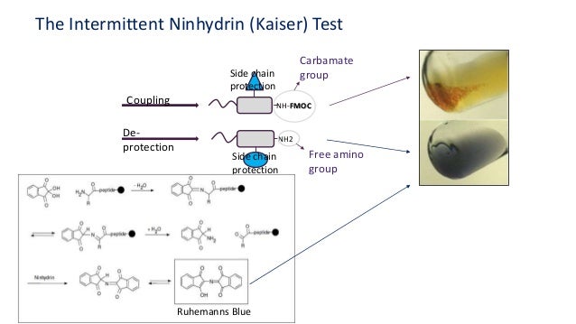 plain 4 SYNTHESIS, PURIFICATION AND STABILITY STUDY OF ISLET