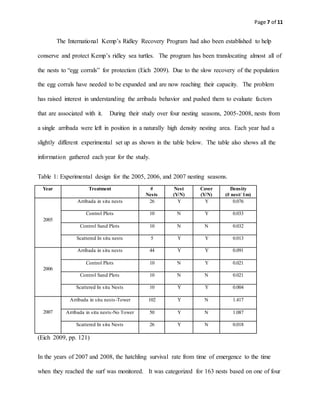 Status of Kemp's Ridley Sea Turtles | DOCX | Infertility | Reproductive ...