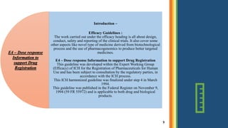 E4 Presentation.pptx