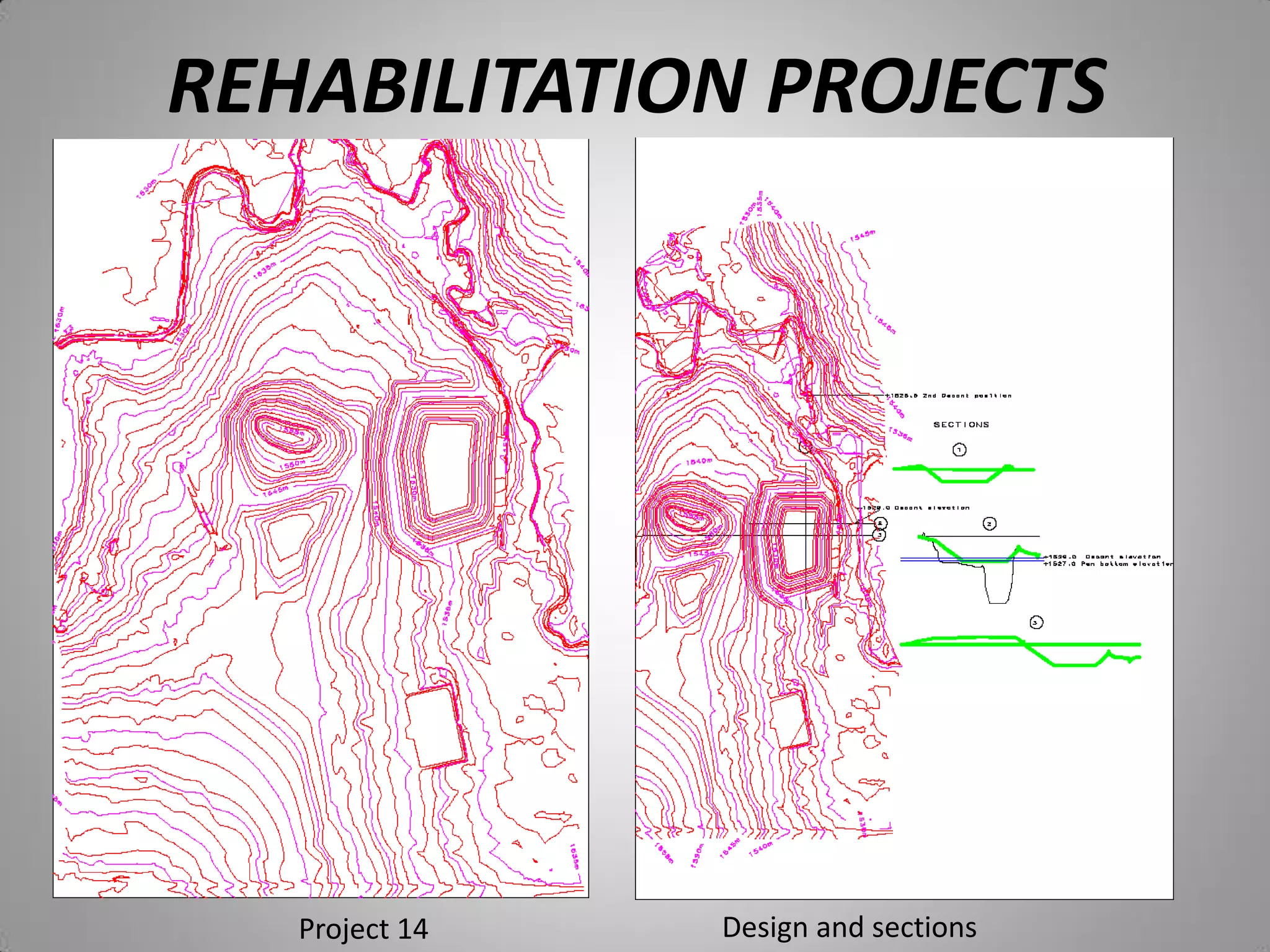 Rehab presentation updated | PDF