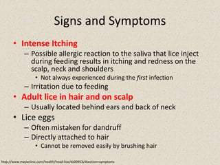 OTC Case Study Presentation - Head Lice | PPTX