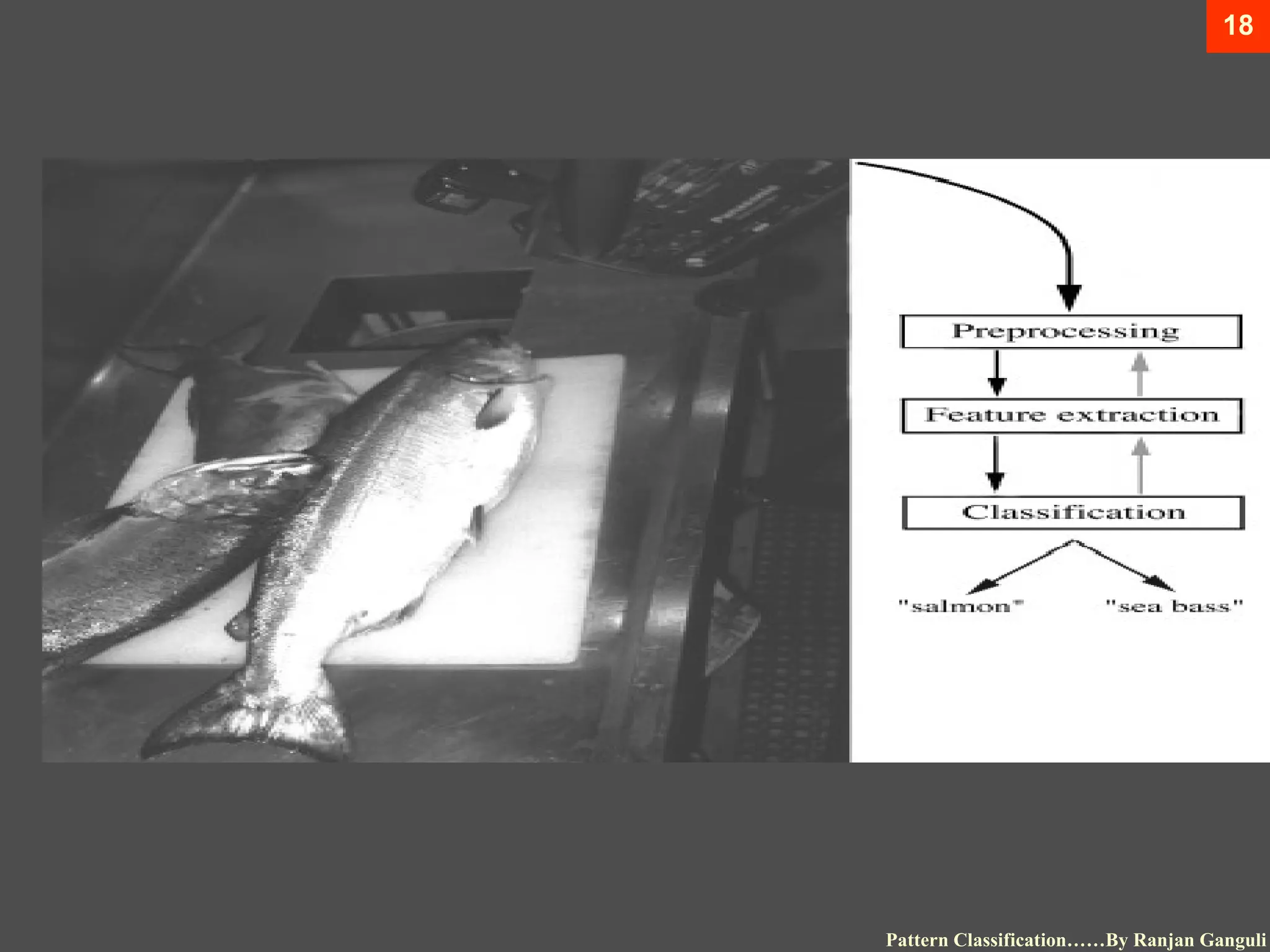 pattern classification | PPT