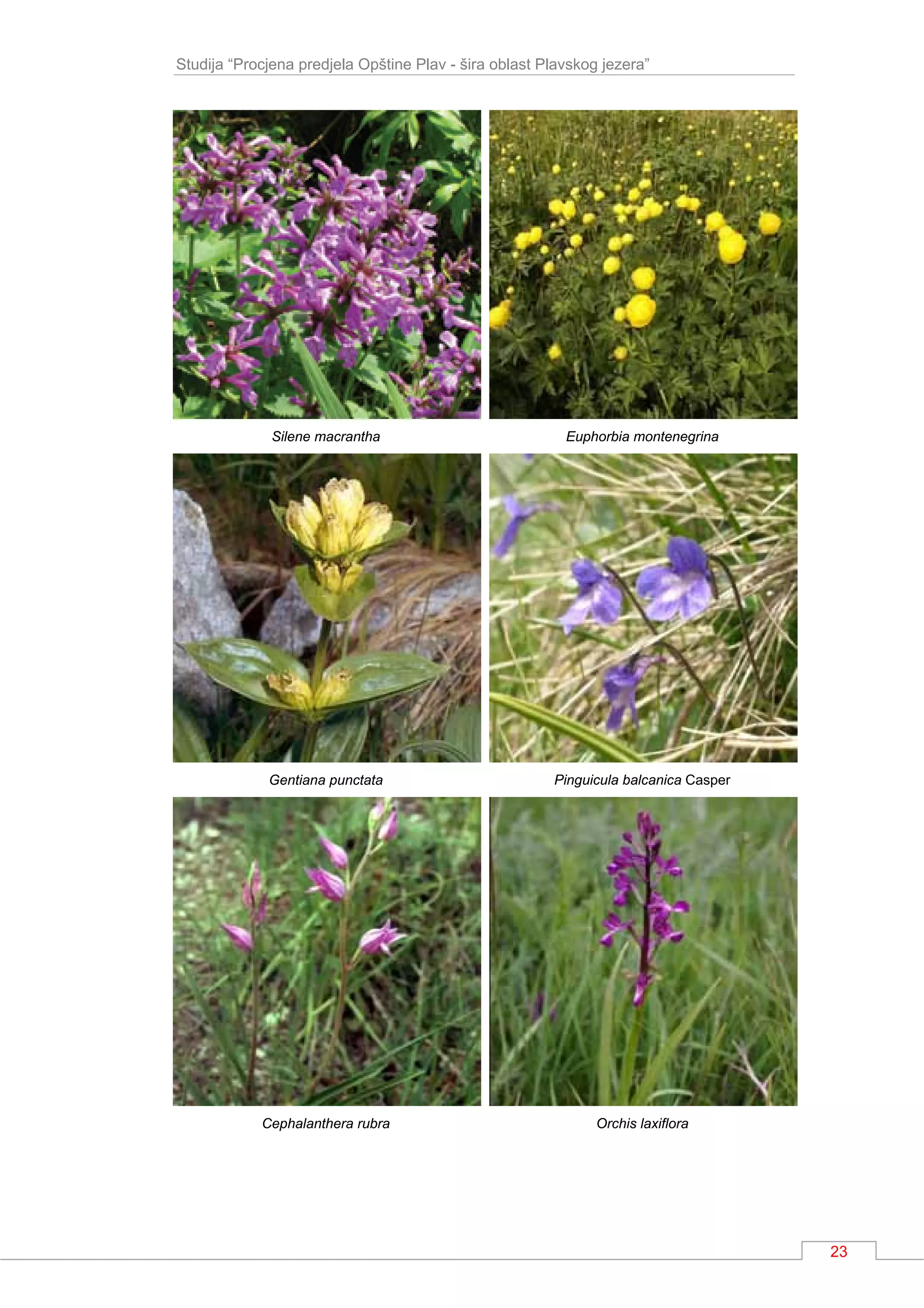 Landscape assessment of Plav Municipality | PDF