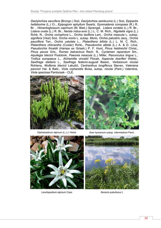 Landscape assessment of Plav Municipality | PDF