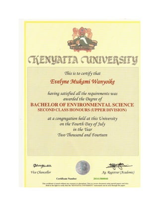 Bachelor's Degree Certificate | PDF