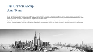 The Carlton Group - Real Estate Private Equity Banker | PDF