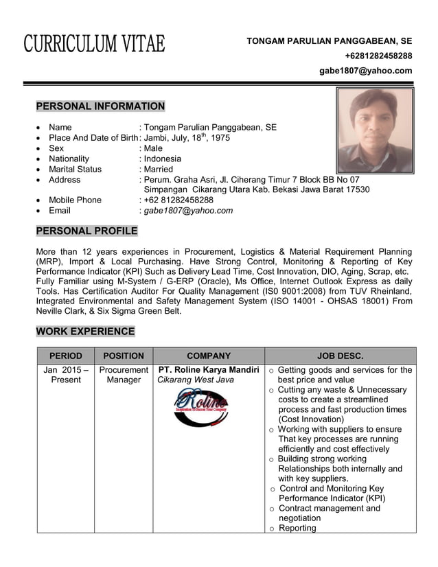 Curriculum Vitae | PDF | Logistics | Business