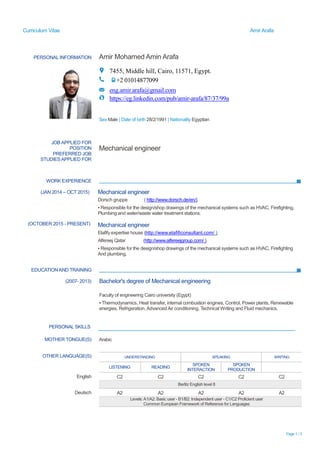 Amir Arafa CV | PDF