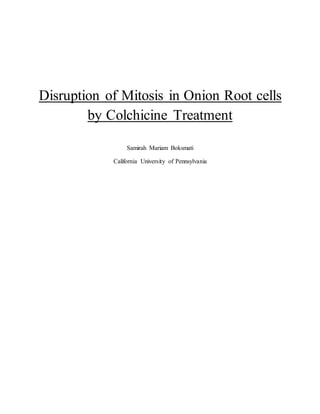 Disruption of Mitosis in Onion Lab Report | DOCX