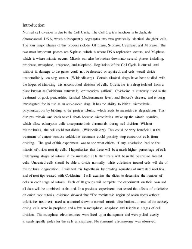 Disruption Of Mitosis In Onion Lab Report Disruption Of Mitosis In Onion Lab Report