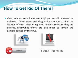 Virus removal-services | PPTX