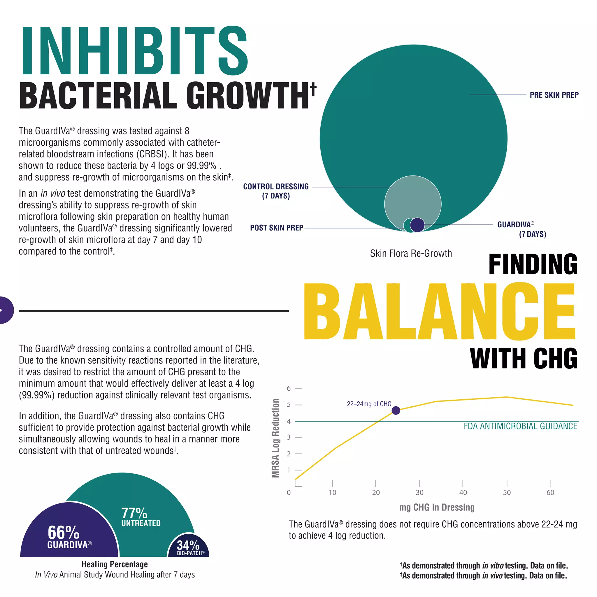 GuardIVa Brochure | PDF