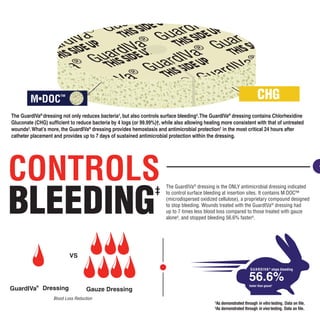 GuardIVa Brochure | PDF