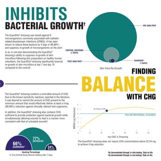 GuardIVa Brochure | PDF