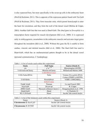 Research Paper | PDF