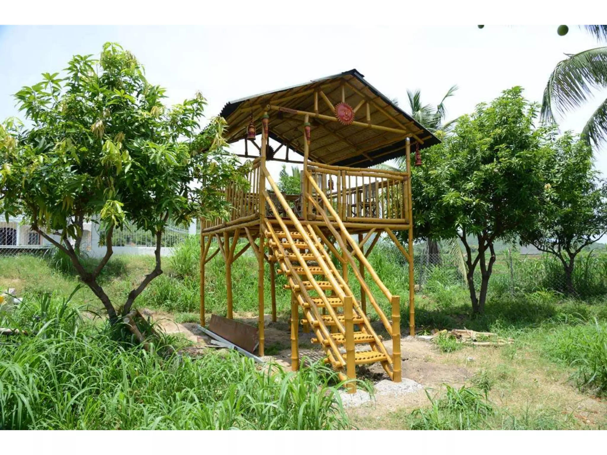 Bamboo Structure on Elevated Platform | PPTX