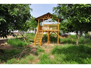 Bamboo Structure on Elevated Platform | PPT