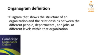 CHW Organogram | PPT