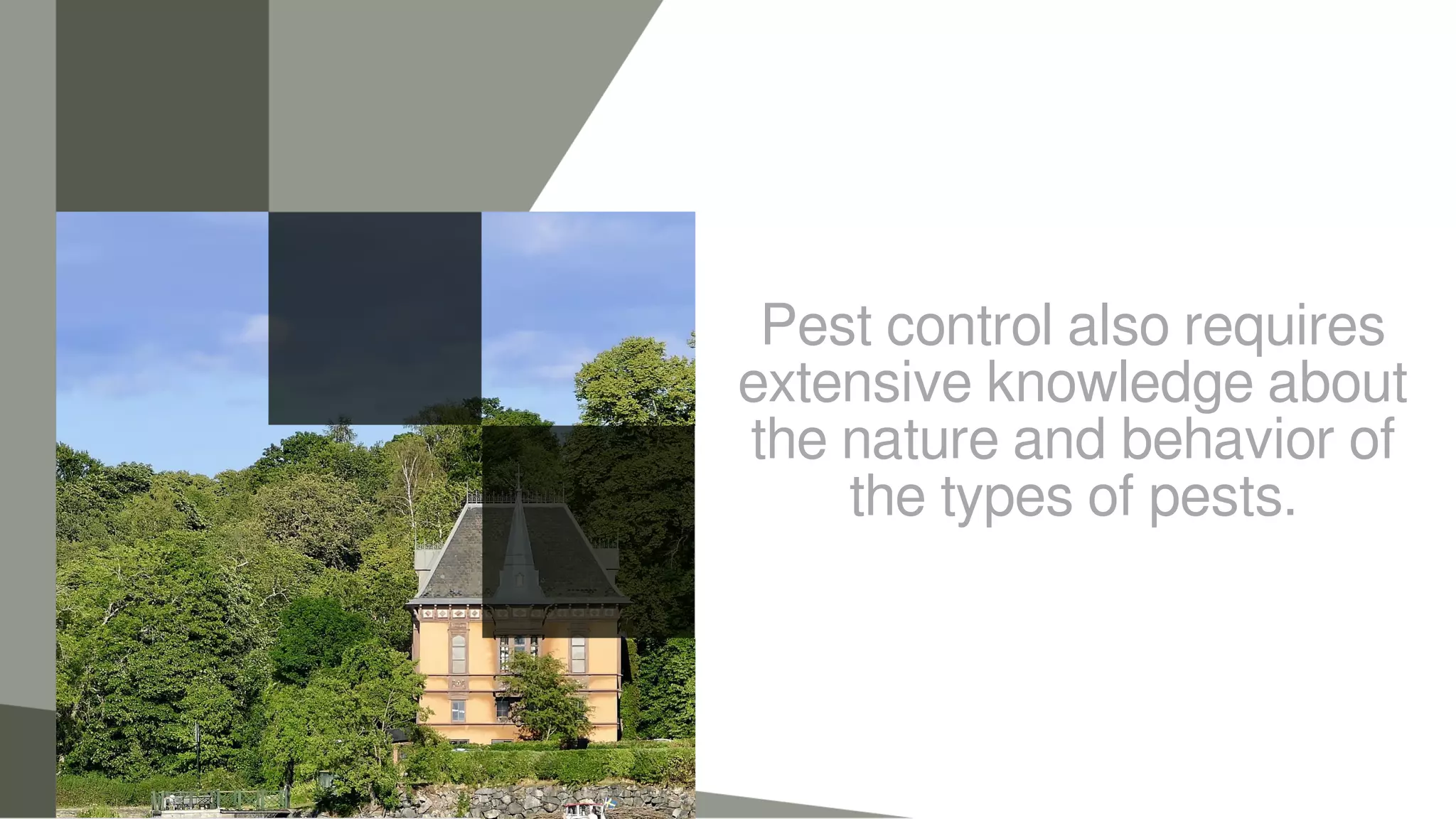 Modern Pest Management Techniques Article Reveals Surprising Facts for ...