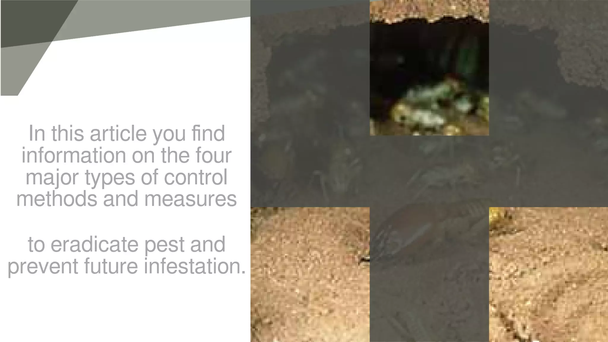 Modern Pest Management Techniques Article Reveals Surprising Facts for ...