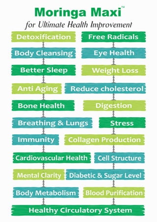 Moringa - E-brochure | PDF